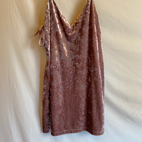 Tobi | Dresses | Tobi Rose Velvet Dress | Poshmark
